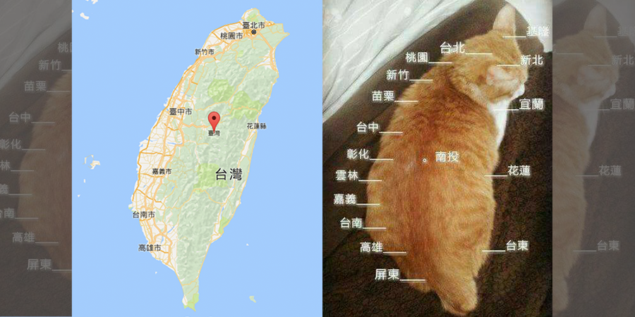 橘貓完美呈現「台灣本島地圖」...連中央山脈都神還原！屏東網